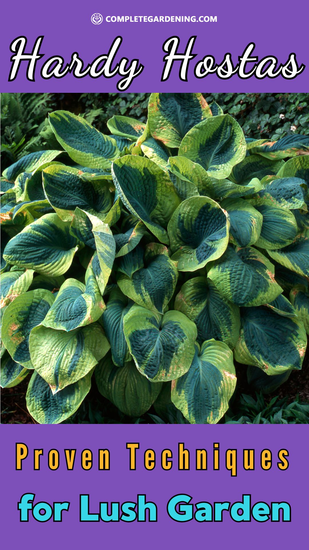 Hardy Hostas: Proven Techniques for Lush Garden - Complete Gardening