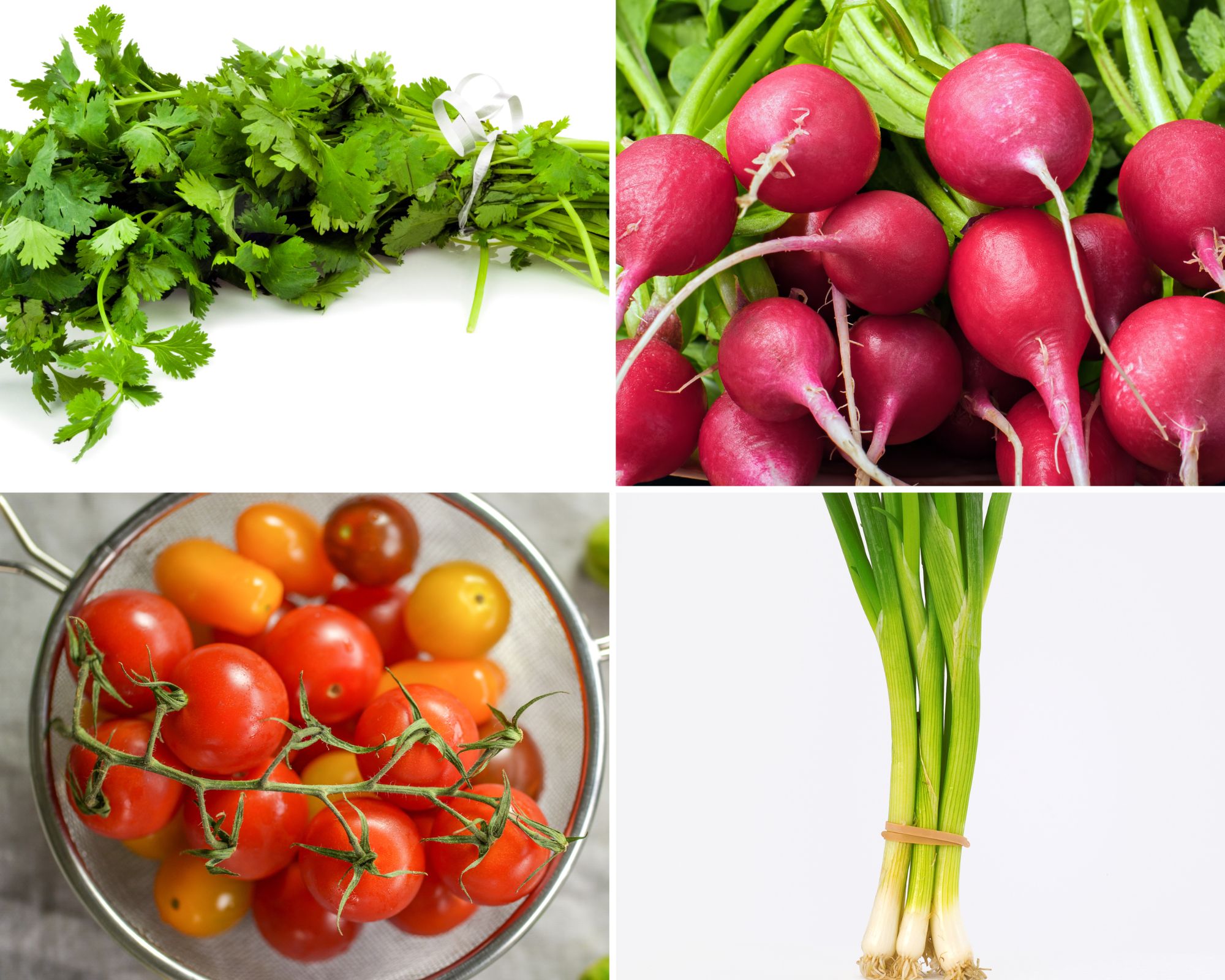 7 Fast Indoor Veggies: Ready in a Month - Complete Gardening