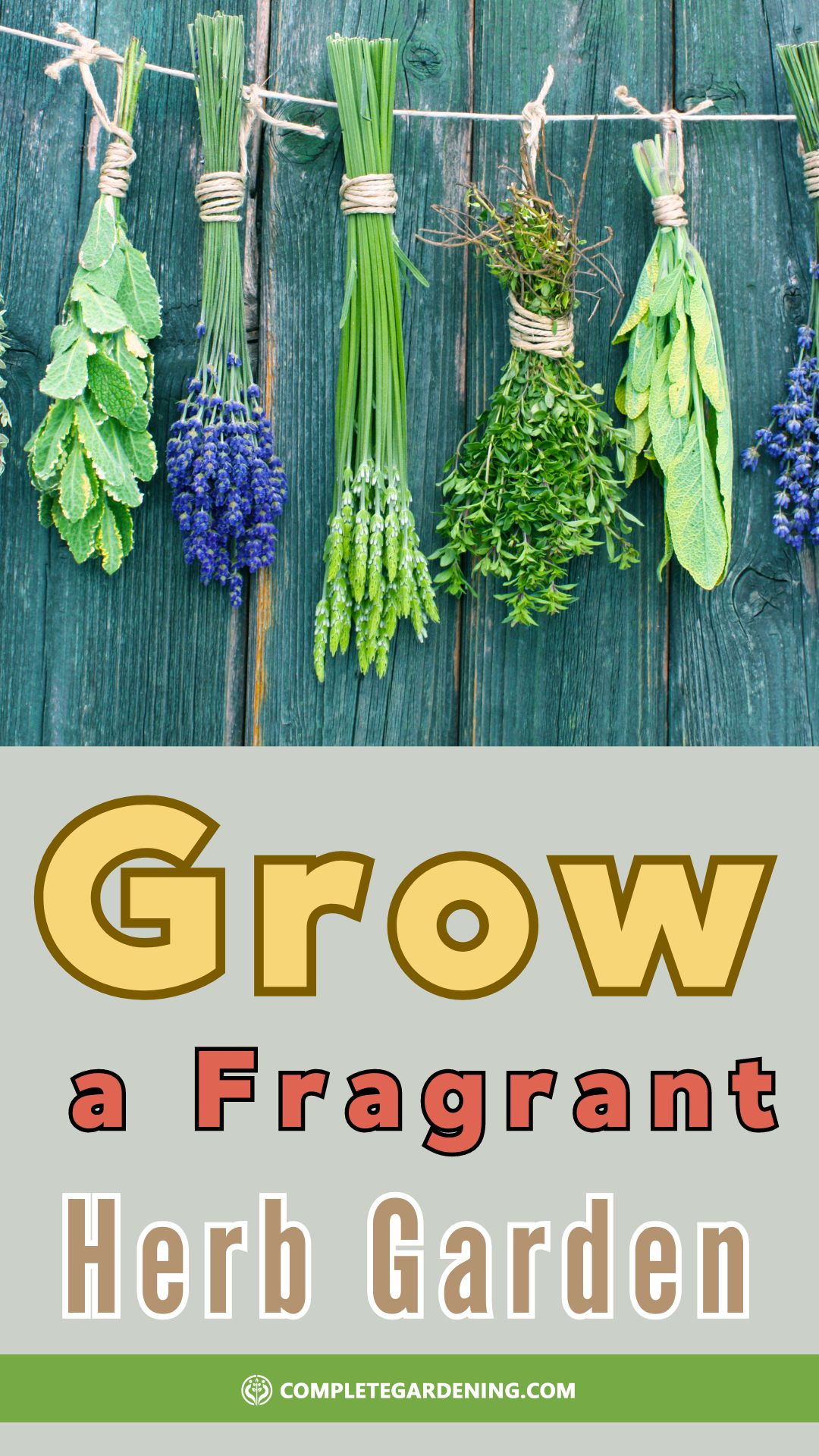 How to Grow a Fragrant Herb Garden: Your Guide to Aromatic Herbs ...