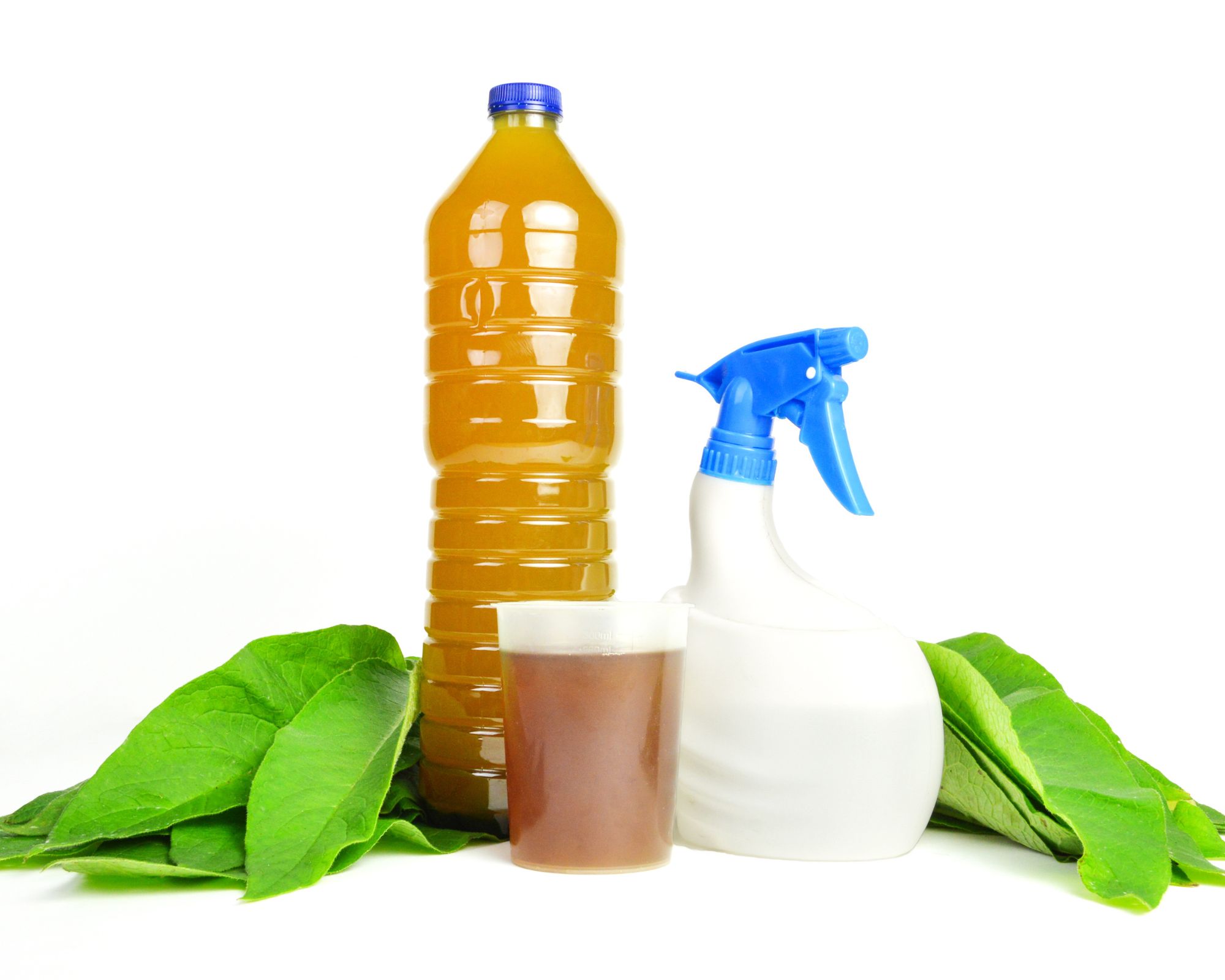 Comfrey Fertilizer: The Miracle Mix - Complete Gardening