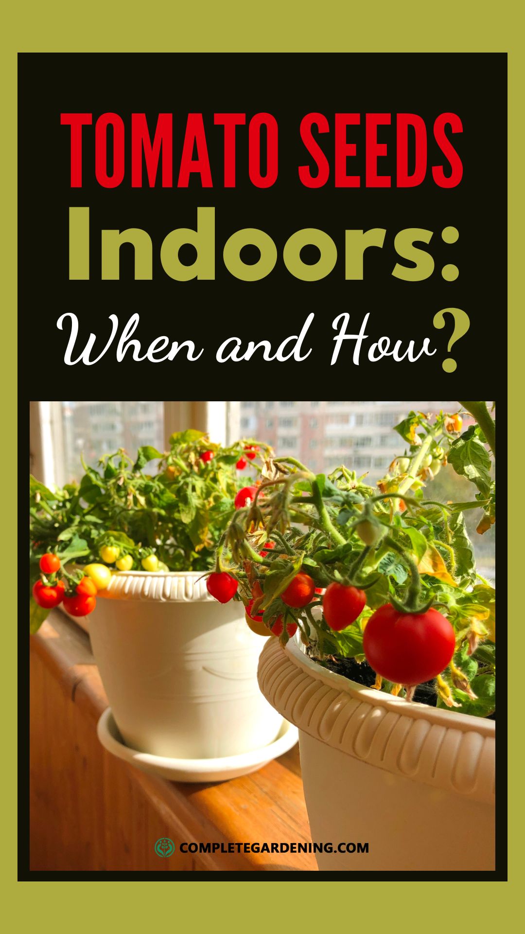 Indoor Tomato Seed Starting: Timing and Tips for Success - Complete ...