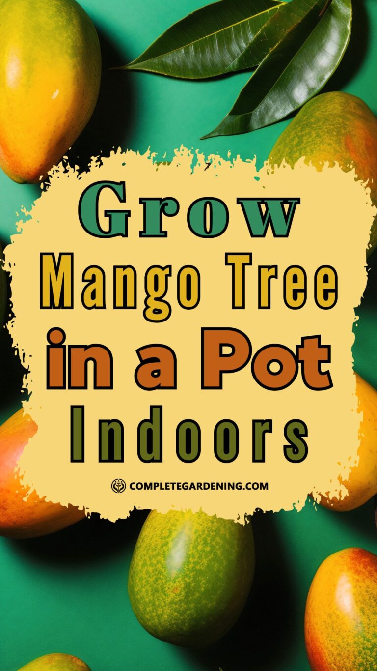 Mango Tree In A Pot: How to Cultivate Tropical Delights Indoors ...
