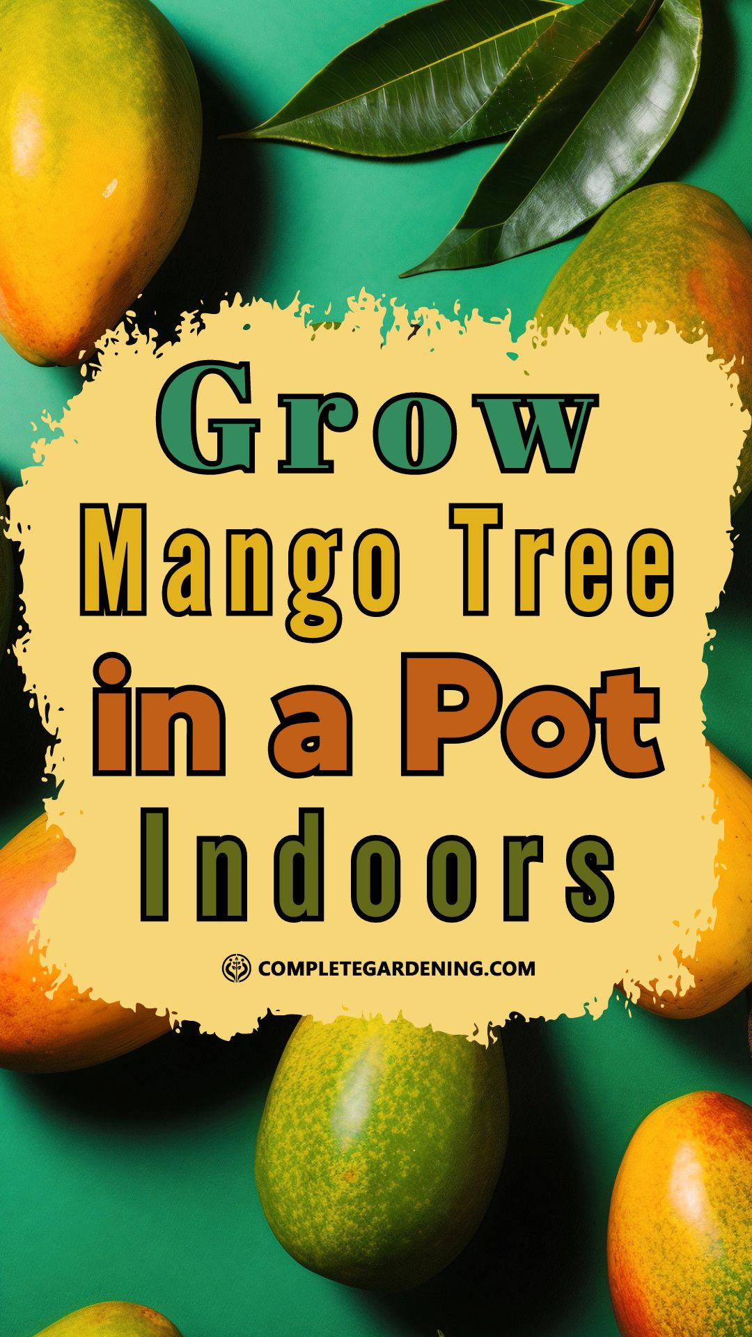 Mango Tree In A Pot: How to Cultivate Tropical Delights Indoors ...