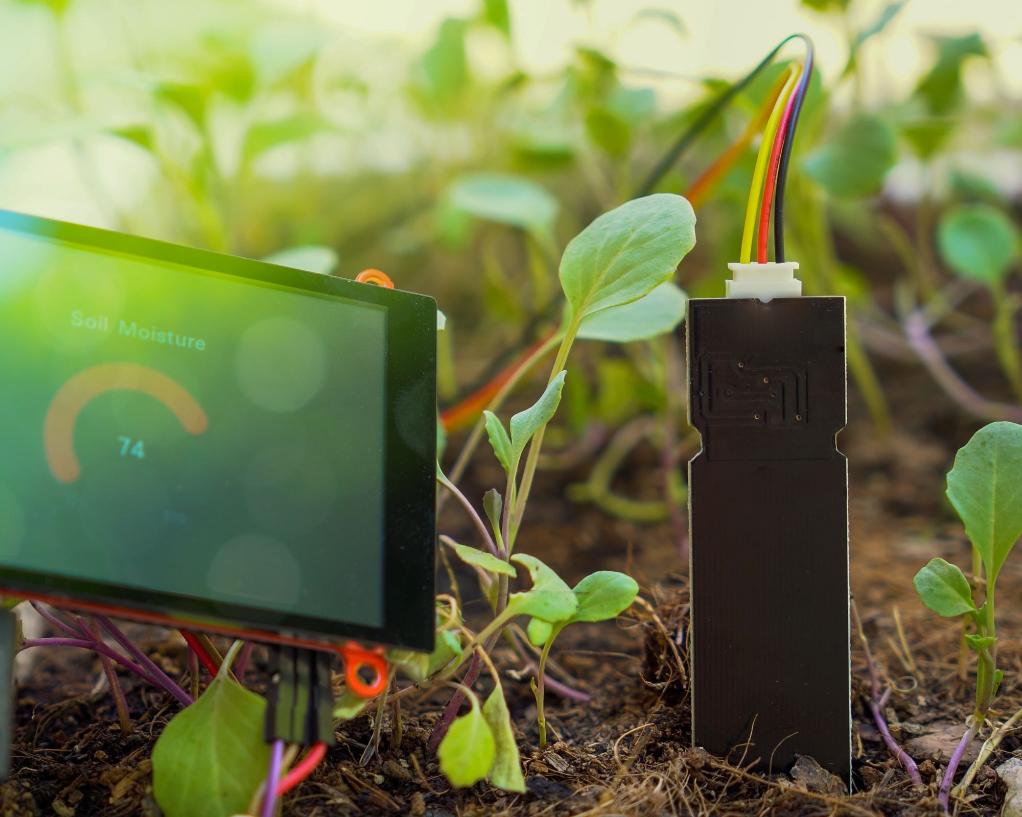 Best Watering Gear: Gardeners’ Top Picks - Complete Gardening