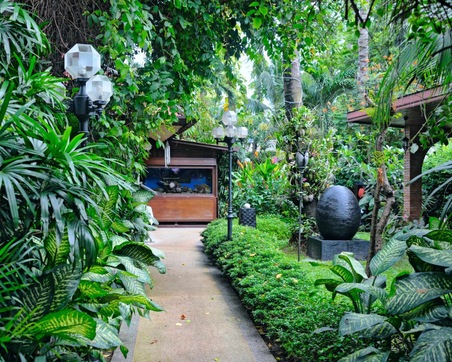 Tropical Vibes: 15 Big Leaf Plants to Enrich Your Garden - Complete ...