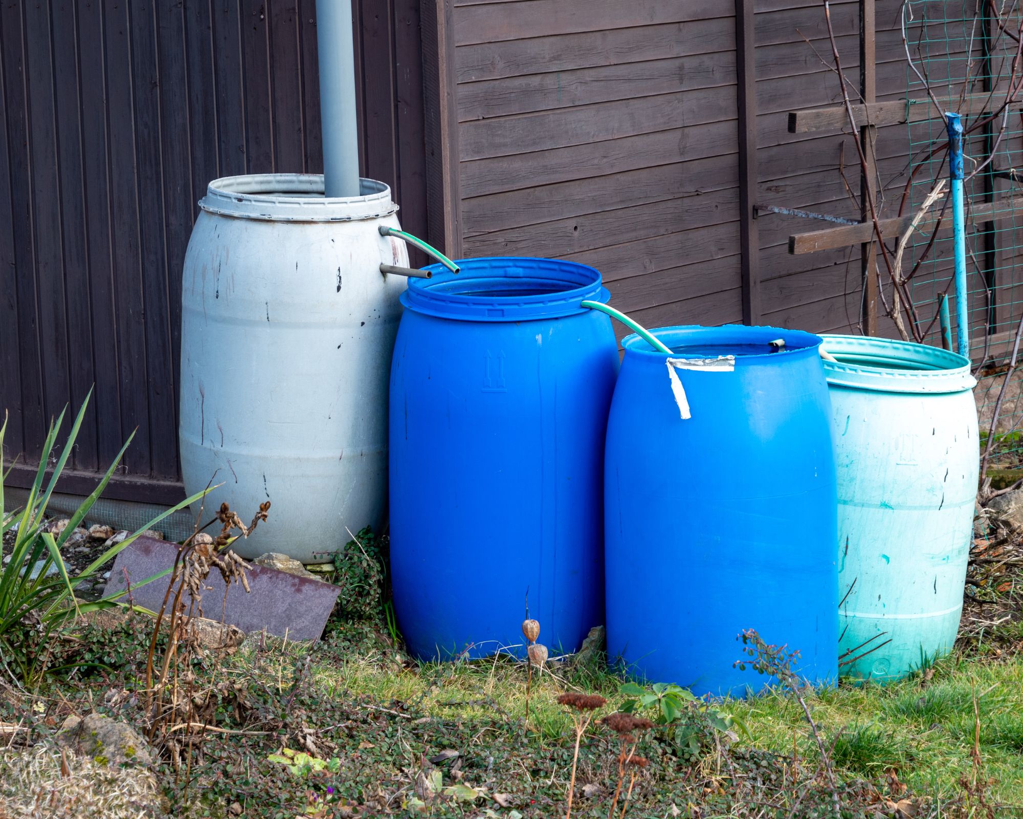 DIY Rain Barrels: The Ultimate Water-Saving Hack - Complete Gardening
