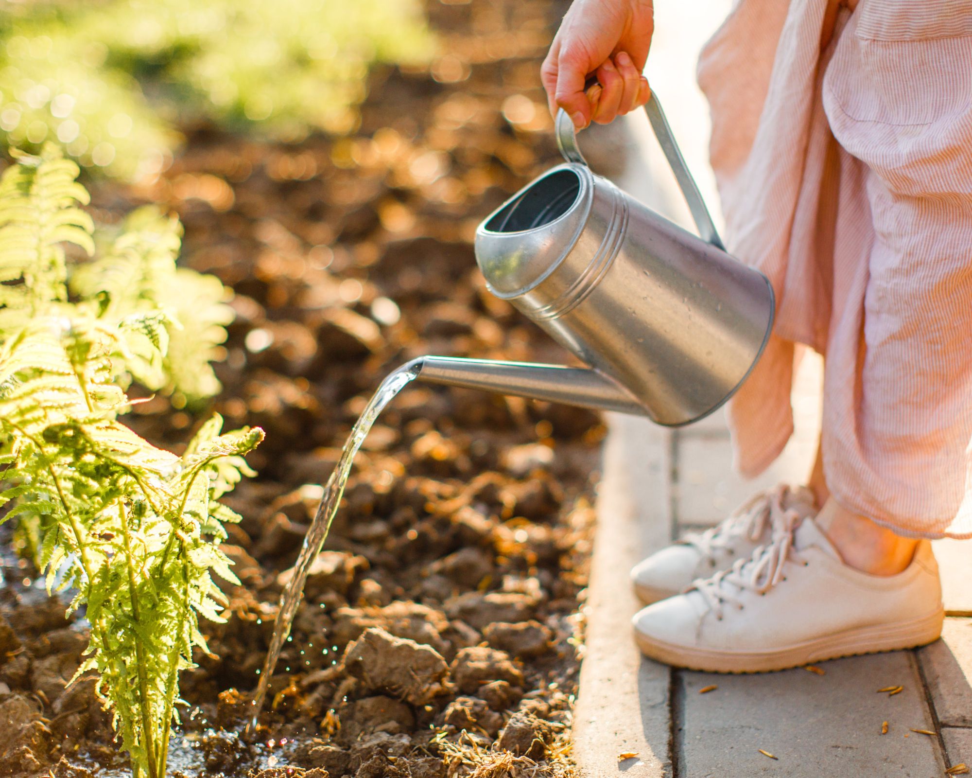 Best Watering Gear: Gardeners’ Top Picks - Complete Gardening