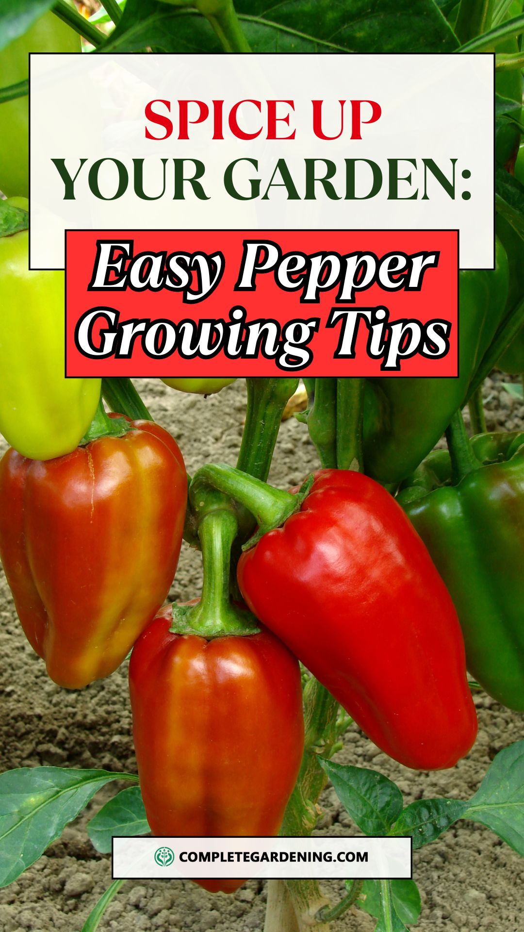 Spice Up Your Garden: Easy Pepper Growing Tips - Complete Gardening