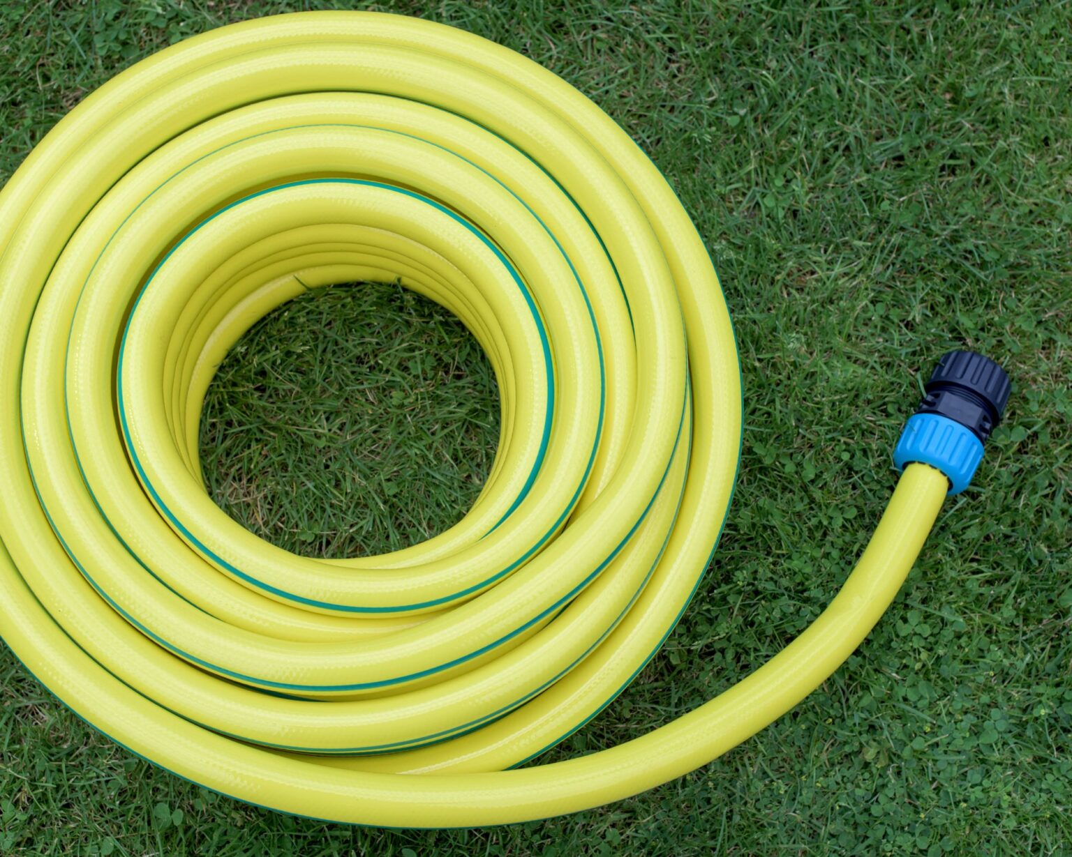 Best Watering Gear: Gardeners’ Top Picks - Complete Gardening
