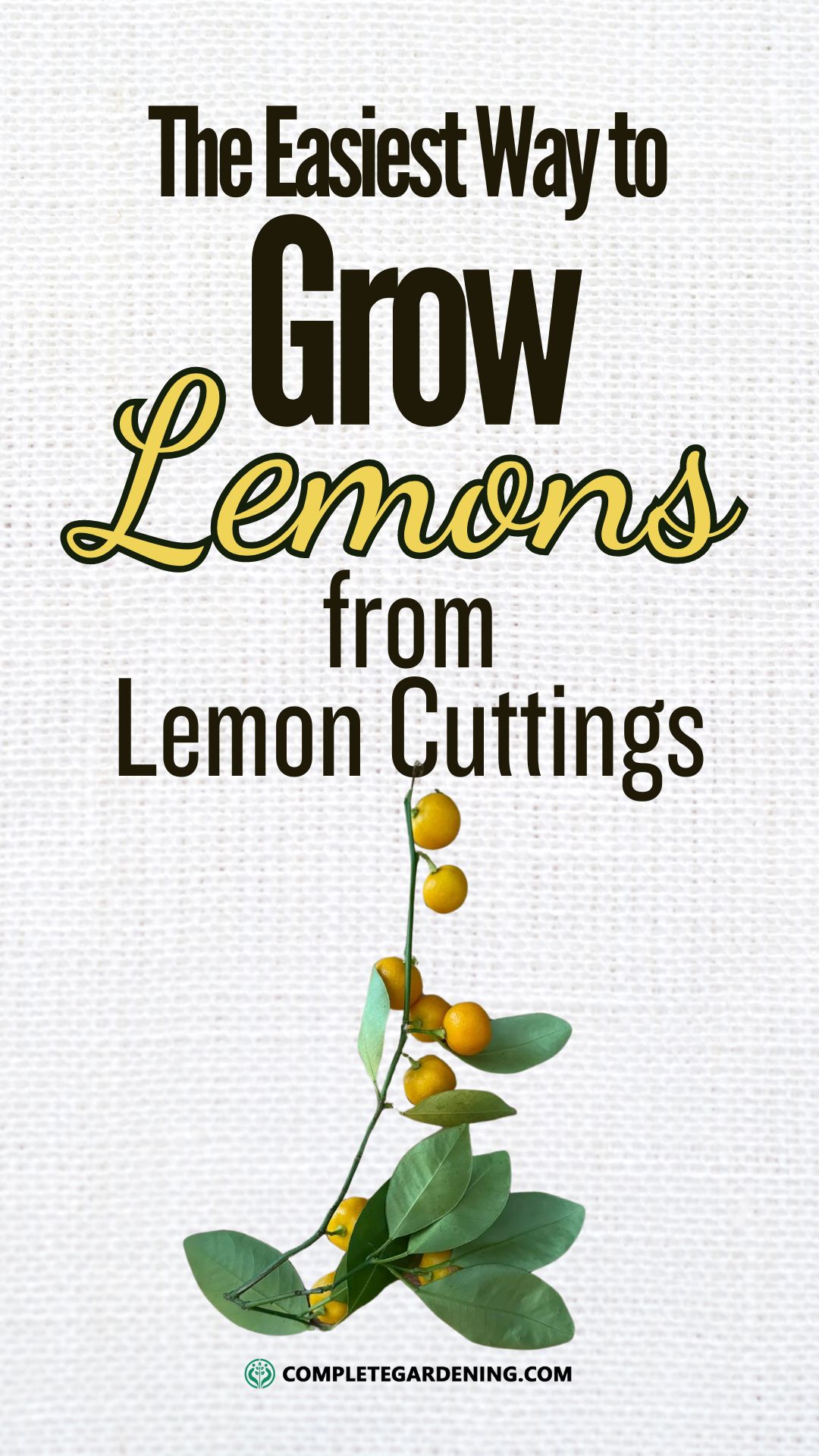 The Easiest Way to Grow Lemons from Lemon Cuttings - Complete Gardening