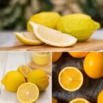 The Easiest Way to Grow Lemons from Lemon Cuttings - Complete Gardening