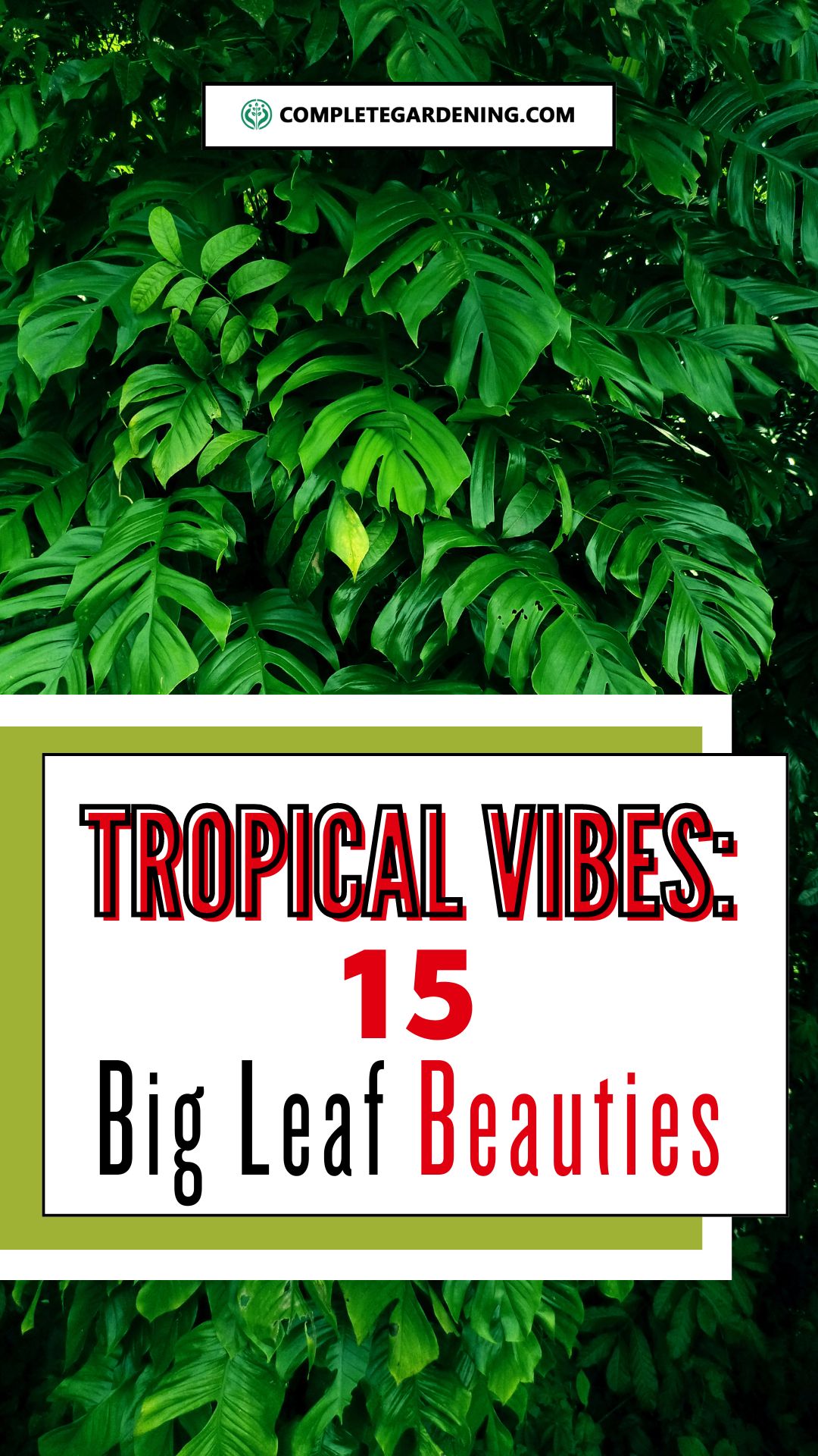 Tropical Vibes: 15 Big Leaf Plants to Enrich Your Garden - Complete ...