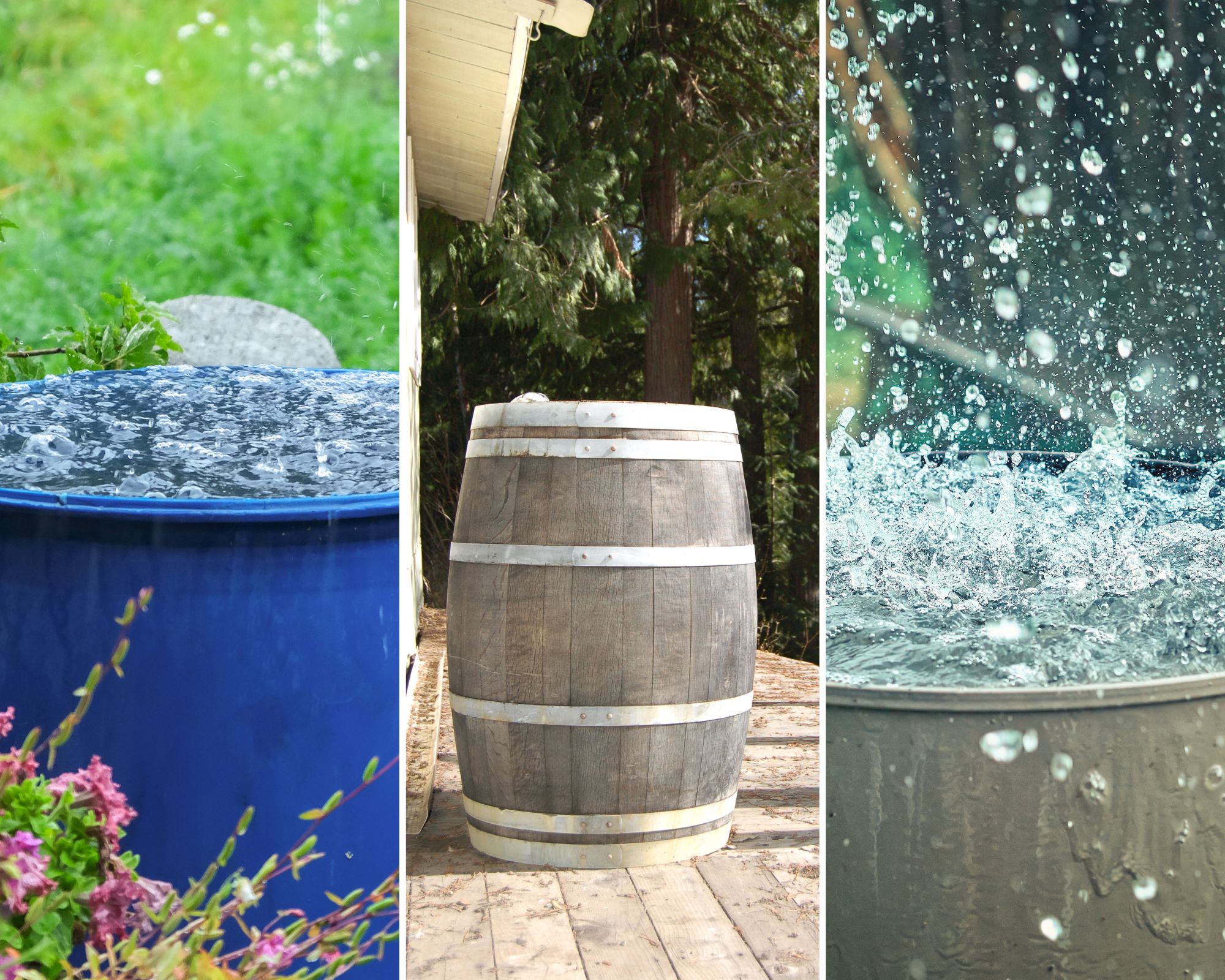 DIY Rain Barrels: The Ultimate Water-Saving Hack - Complete Gardening