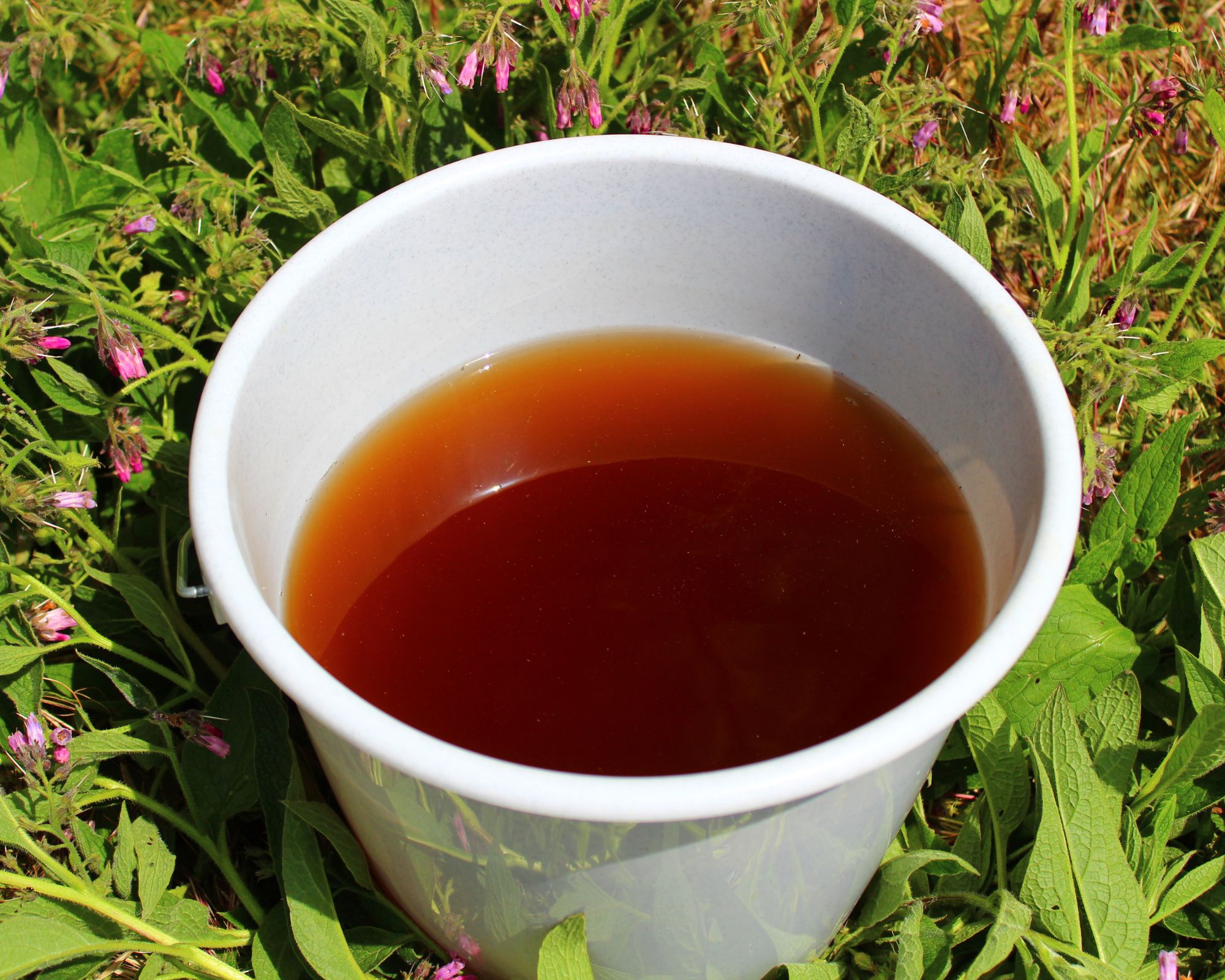 Comfrey Fertilizer: The Miracle Mix - Complete Gardening