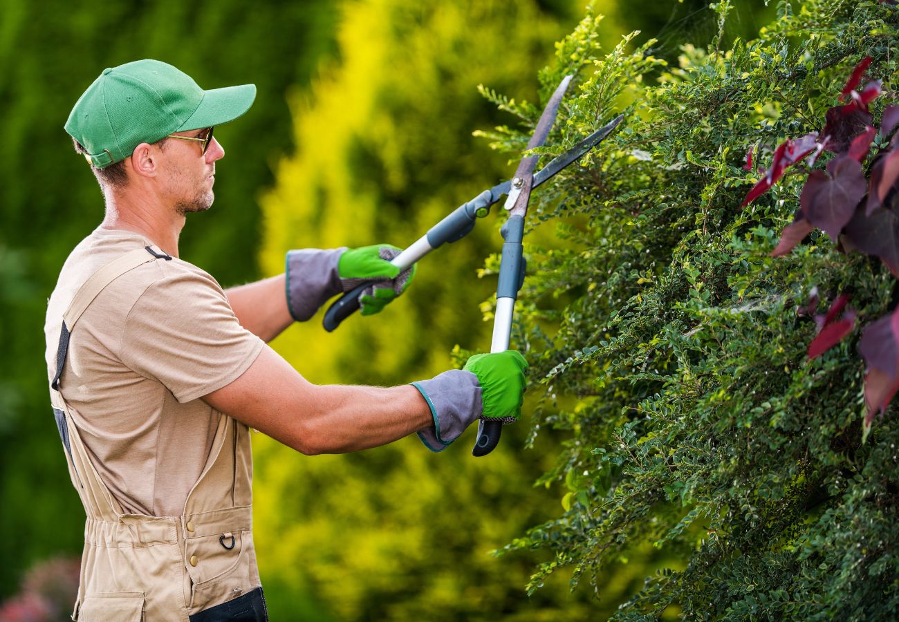Top 9 Pruning Mistakes and How to Avoid Them - Complete Gardening