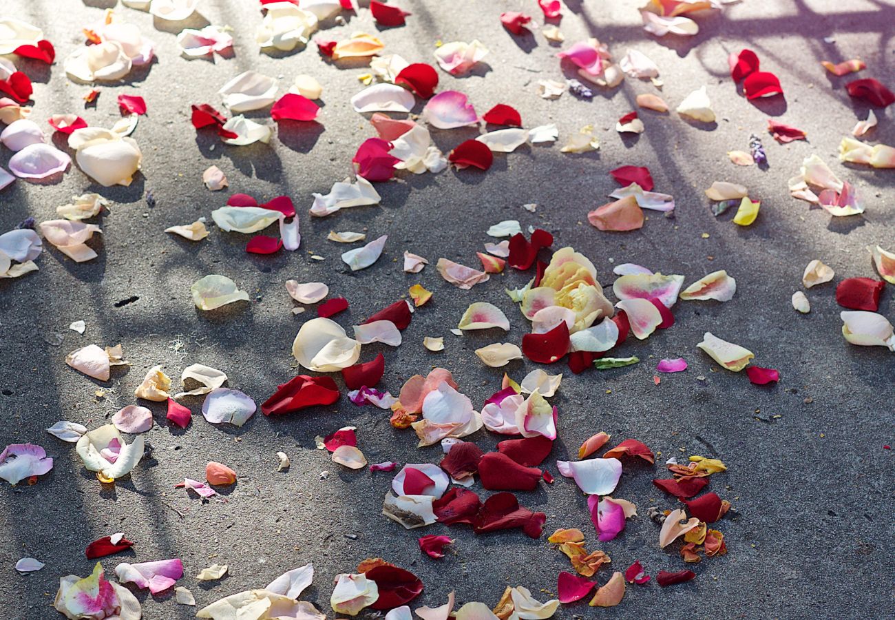 Rose Petals: 12 Unexpected Uses & 9 Delicious Recipes - Complete Gardening