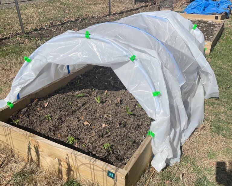 Can You Garden in Winter? Check Out These 10 Unique Projects - Complete ...