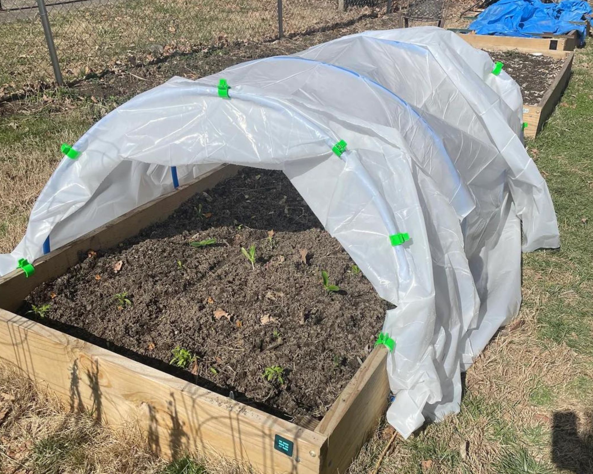 Can You Garden in Winter? Check Out These 10 Unique Projects - Complete ...