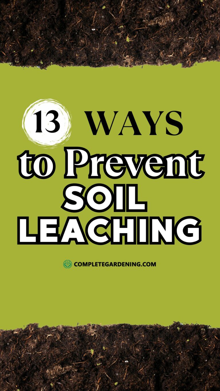13 Ways to Prevent Soil Leaching - Complete Gardening