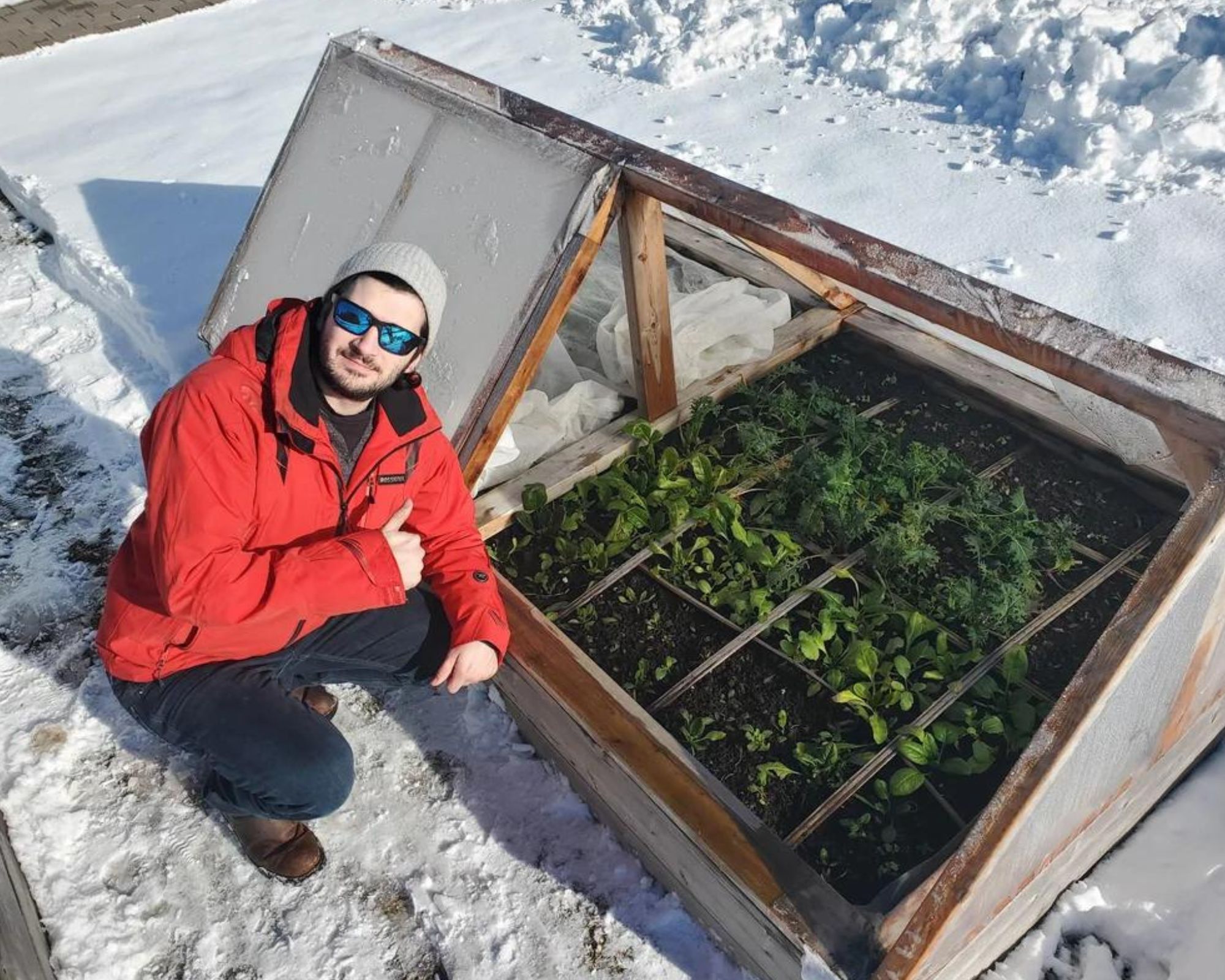 Can You Garden in Winter? Check Out These 10 Unique Projects - Complete ...