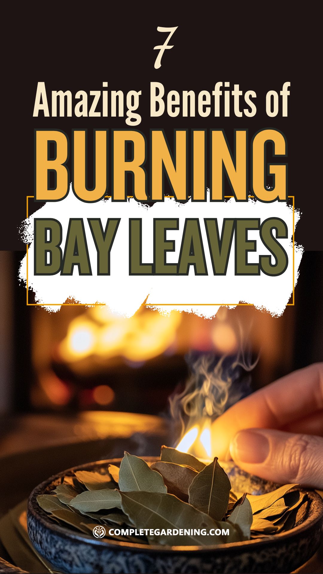 7 Reasons Burning Bay Leaves Is Amazing - Complete Gardening