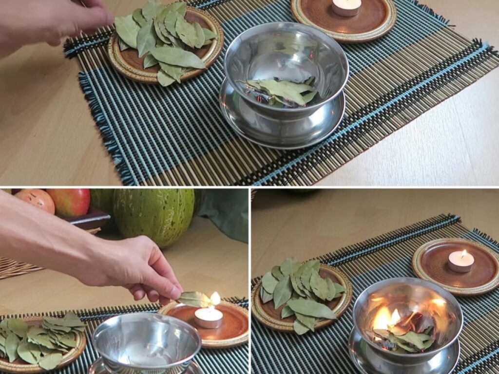 7 Reasons Burning Bay Leaves Is Amazing - Complete Gardening