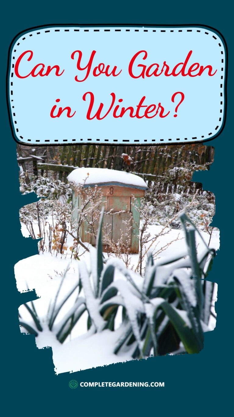 Can You Garden in Winter? Check Out These 10 Unique Projects - Complete ...