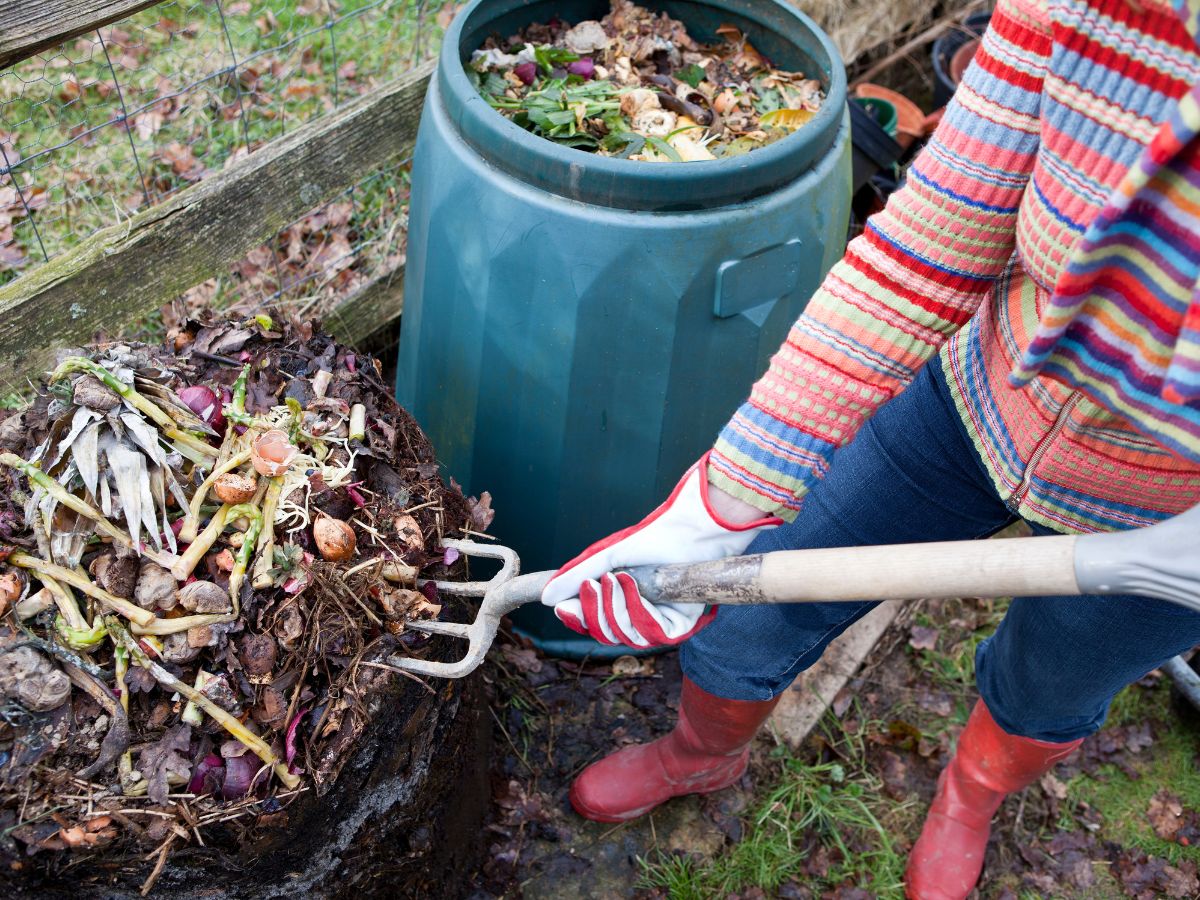 Feeding the Soil: 16 Natural Fertilizers to Boost Your Garden ...