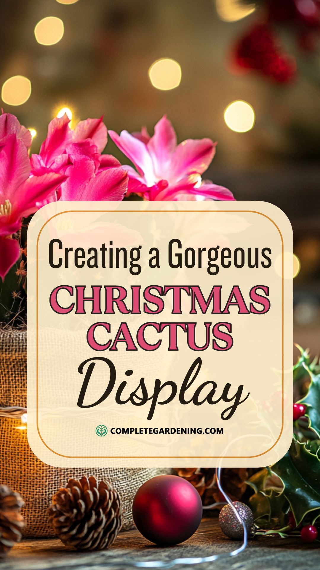Creating a Gorgeous Christmas Cactus Display: Simple Steps for a ...