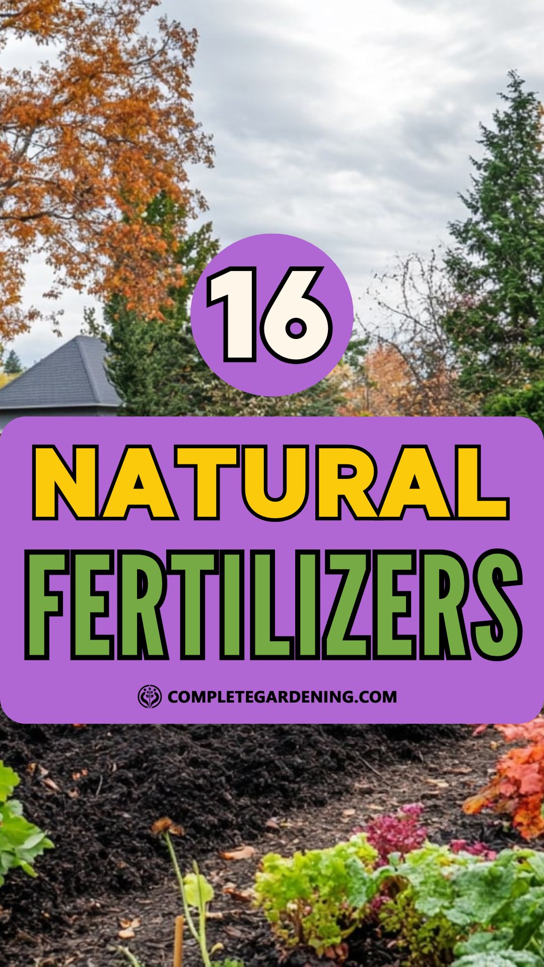 Feeding the Soil: 16 Natural Fertilizers to Boost Your Garden ...