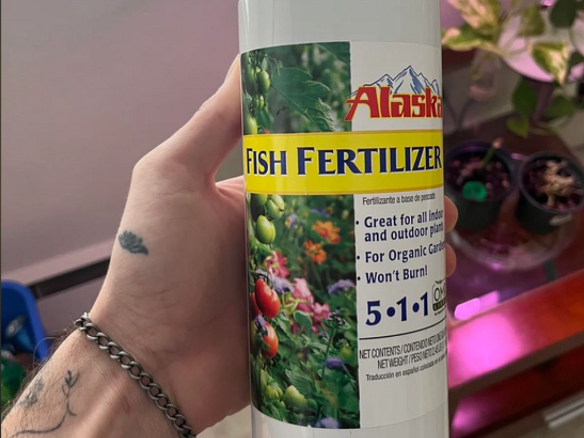 Feeding the Soil: 16 Natural Fertilizers to Boost Your Garden ...