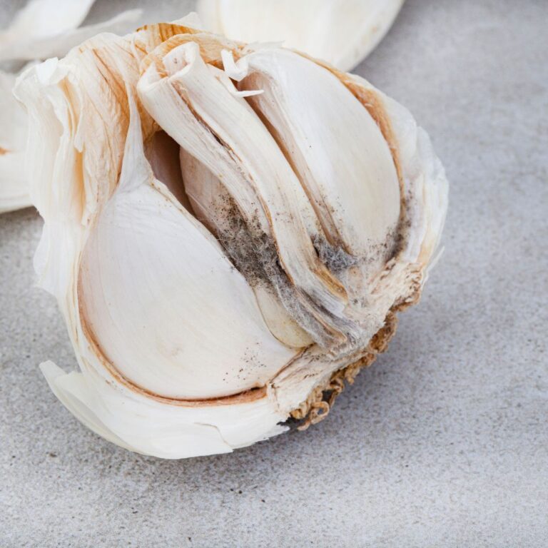 Grow Garlic in Water for a Continuous Supply: A Step-by-Step Guide ...