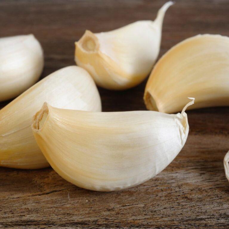Grow Garlic in Water for a Continuous Supply: A Step-by-Step Guide ...