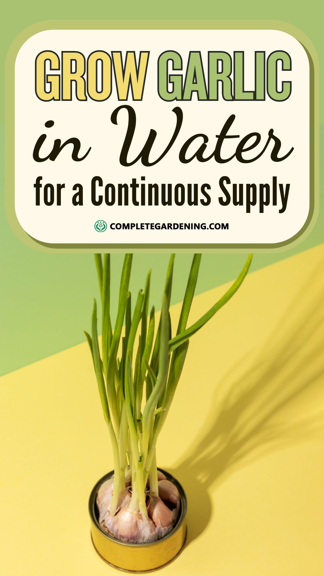 Grow Garlic in Water for a Continuous Supply: A Step-by-Step Guide ...