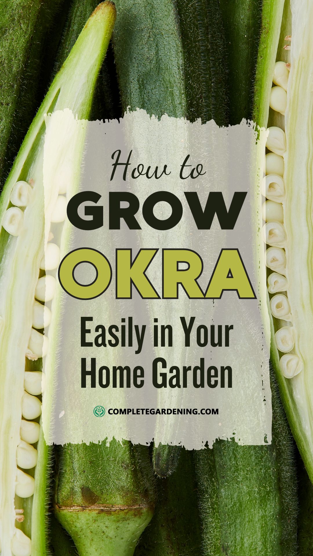 How to Grow Okra Easily in Your Home Garden - Complete Gardening