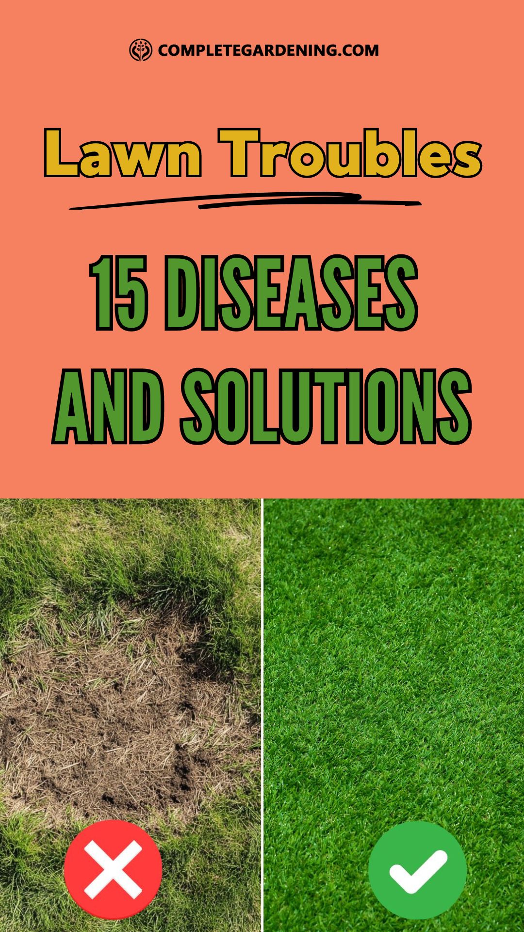 Lawn Troubles? Here Are 15 Diseases and Solutions - Complete Gardening