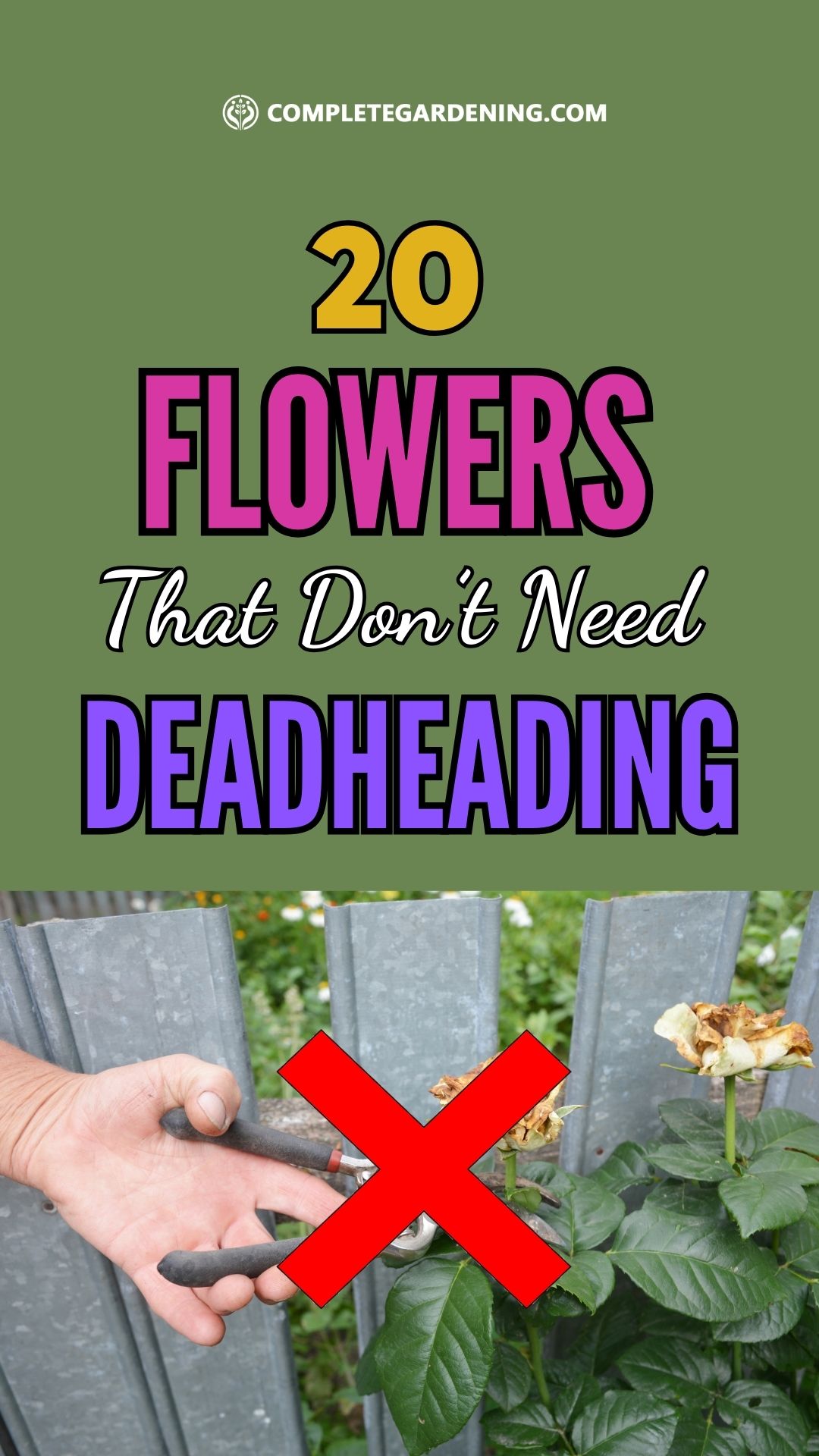 No Deadheading Required: 20 Effortless Flowers for Your Garden ...