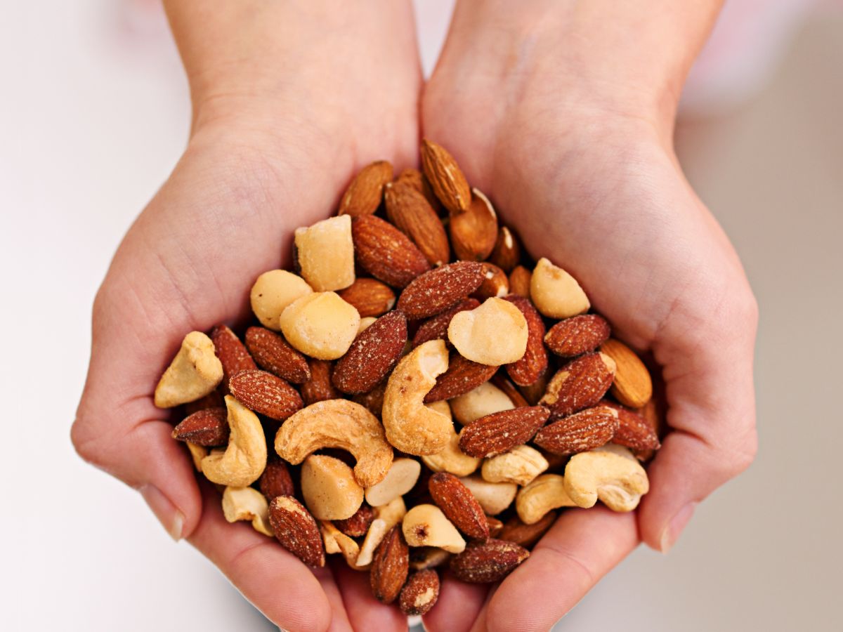 Autumn's Wild Harvest: 15 Nuts to Gather in Fall - Complete Gardening