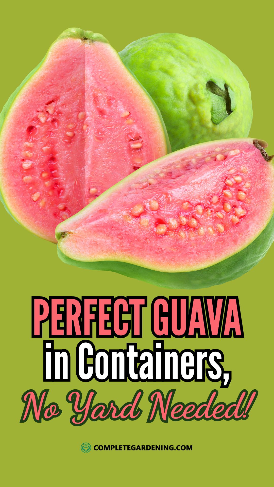 Perfect Guava in Containers, No Yard Needed! - Complete Gardening