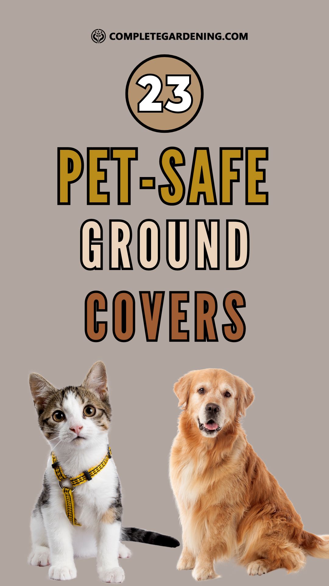 Pet-Safe Ground Covers: 23 Creepers for a Lush Garden - Complete Gardening