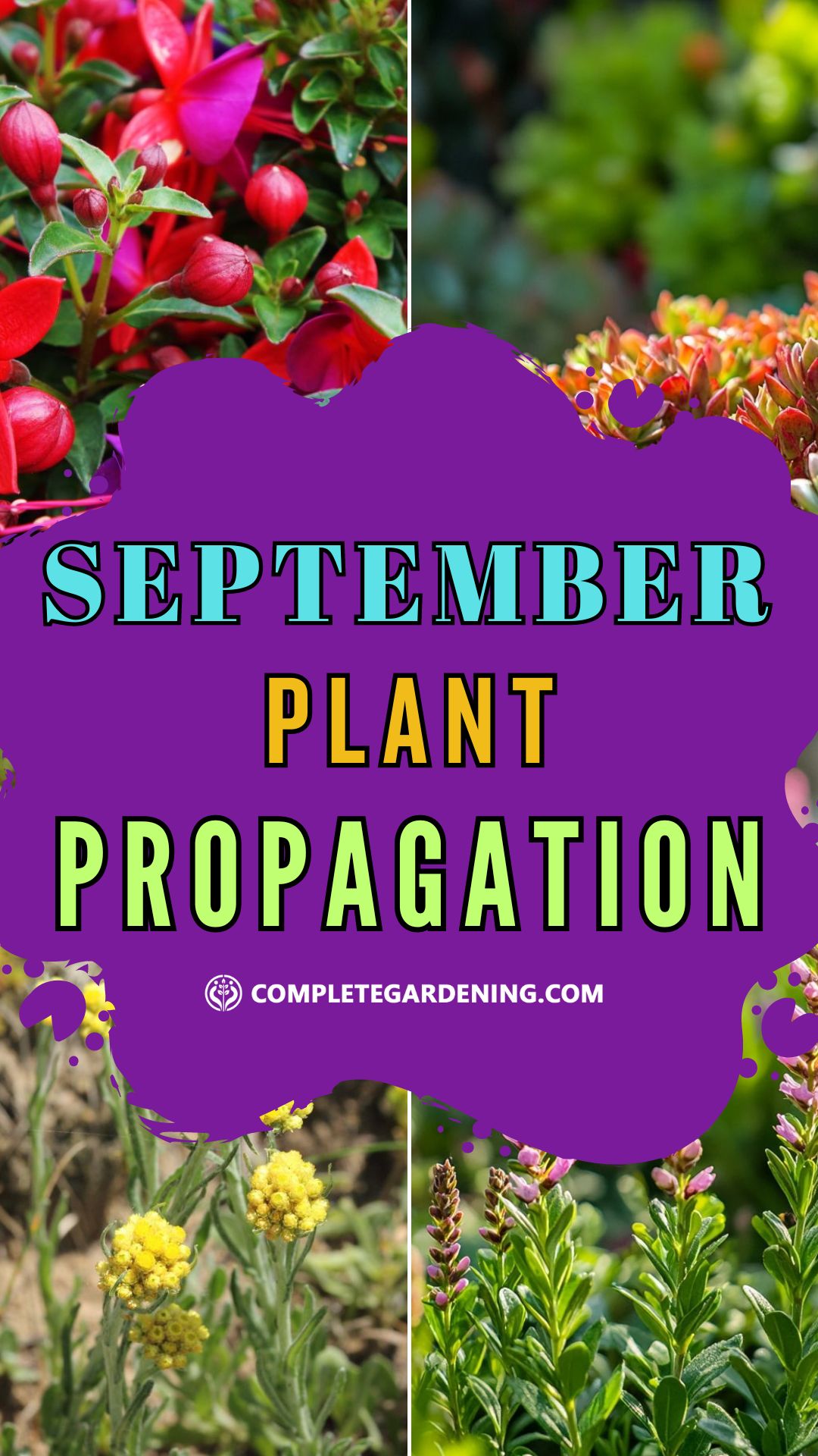 September Plant Propagation: 24 Easy Plants for Thriving Garden ...