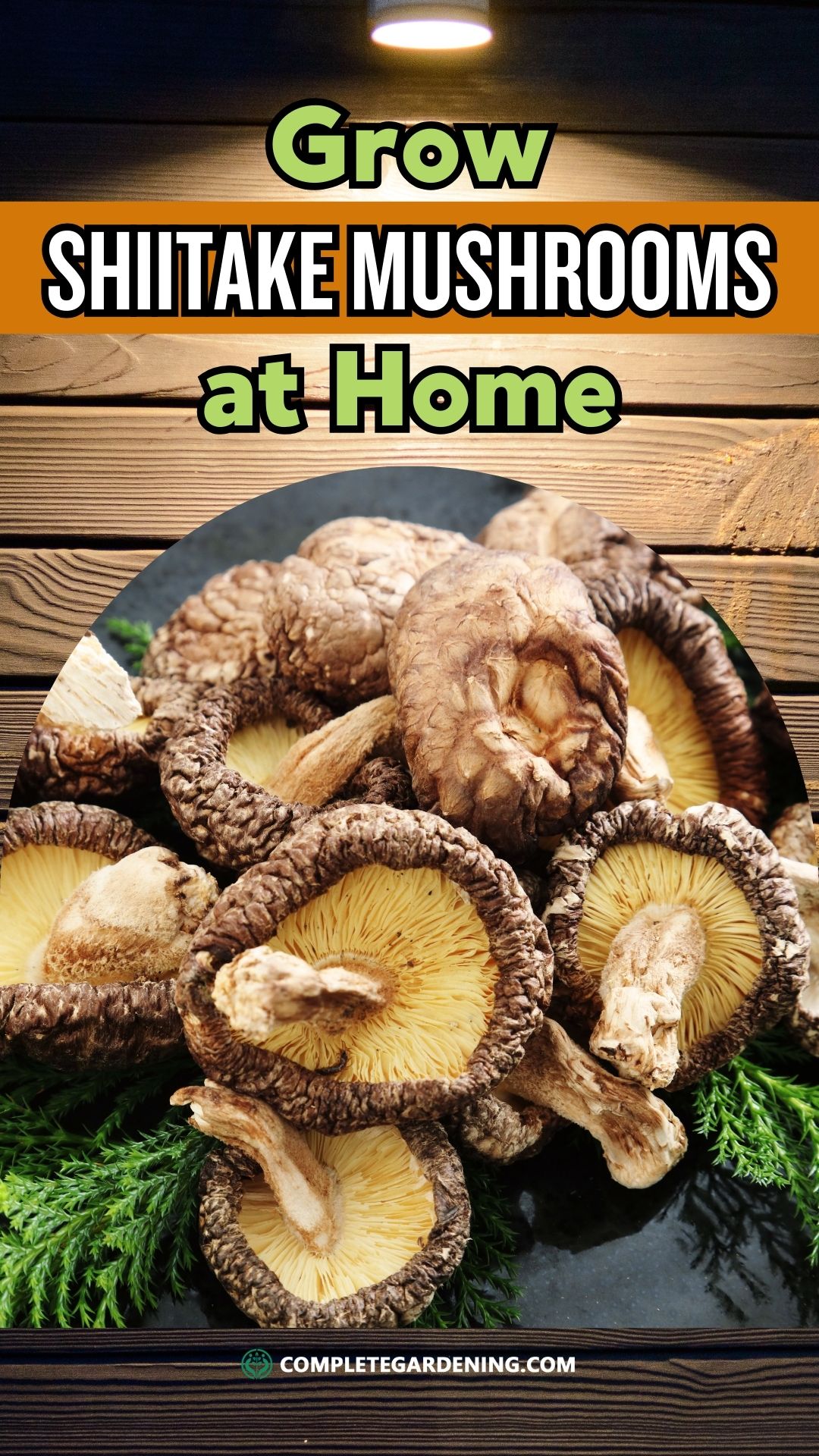 Shiitake Mushrooms at Home: Can You Really Grow Them Like a Pro ...
