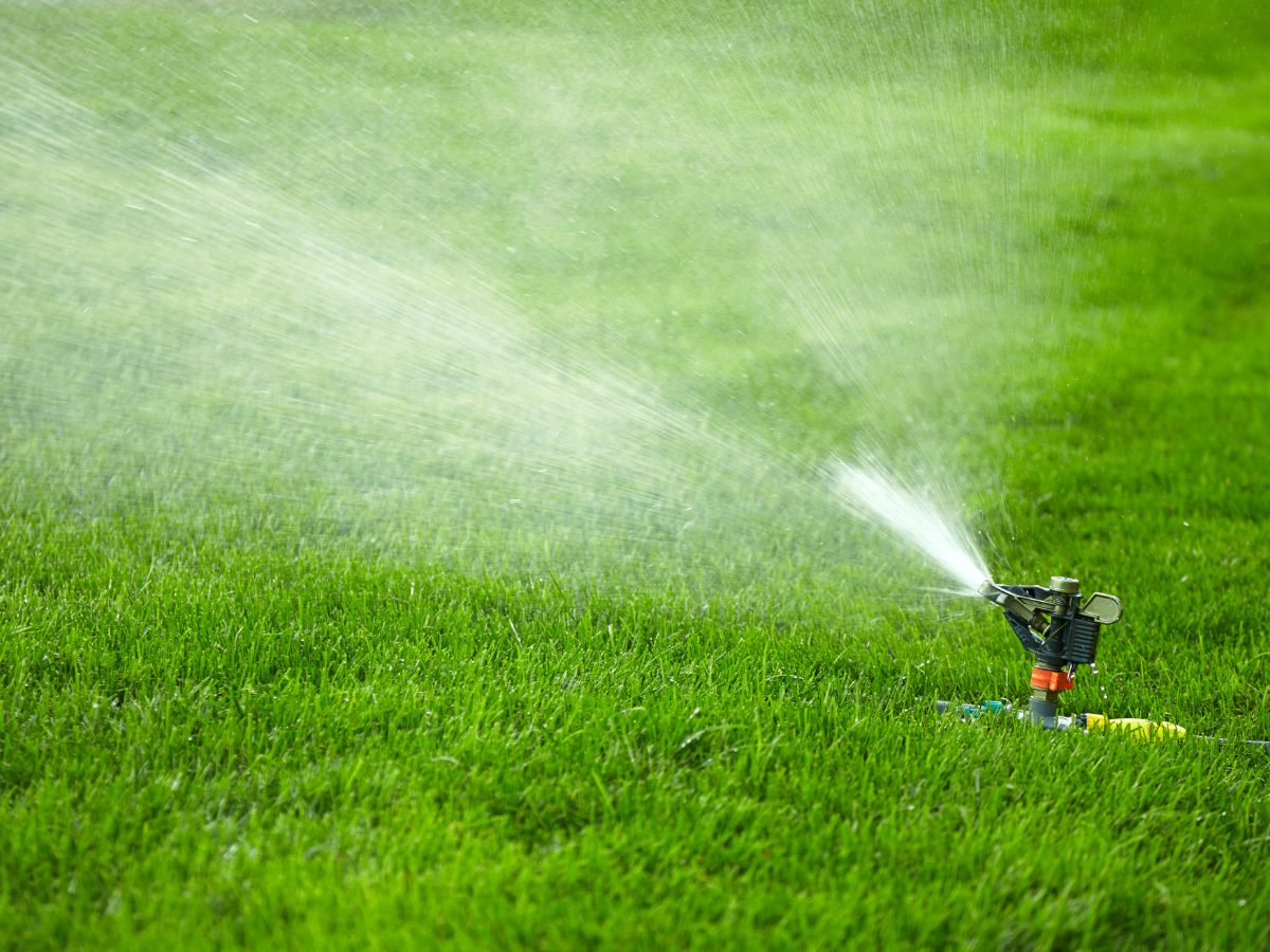 Lawn Troubles? Here Are 15 Diseases and Solutions - Complete Gardening