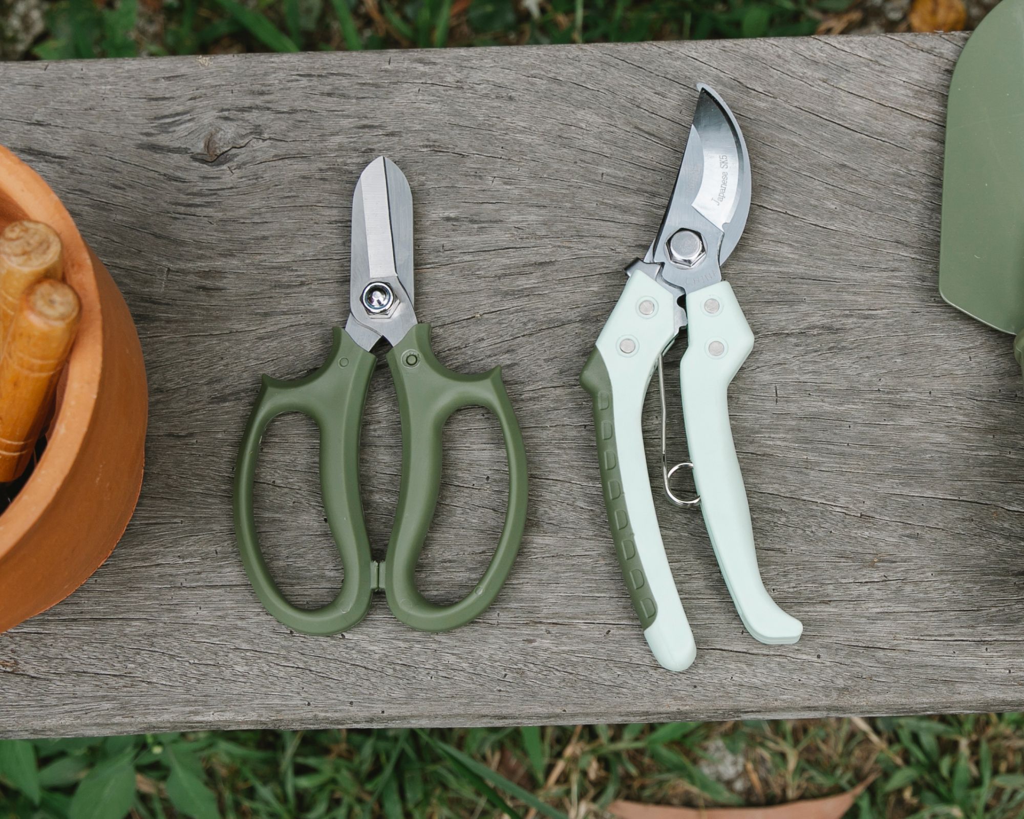 Is Your Sage Ready to Harvest? When and How to Do It Right - Complete ...