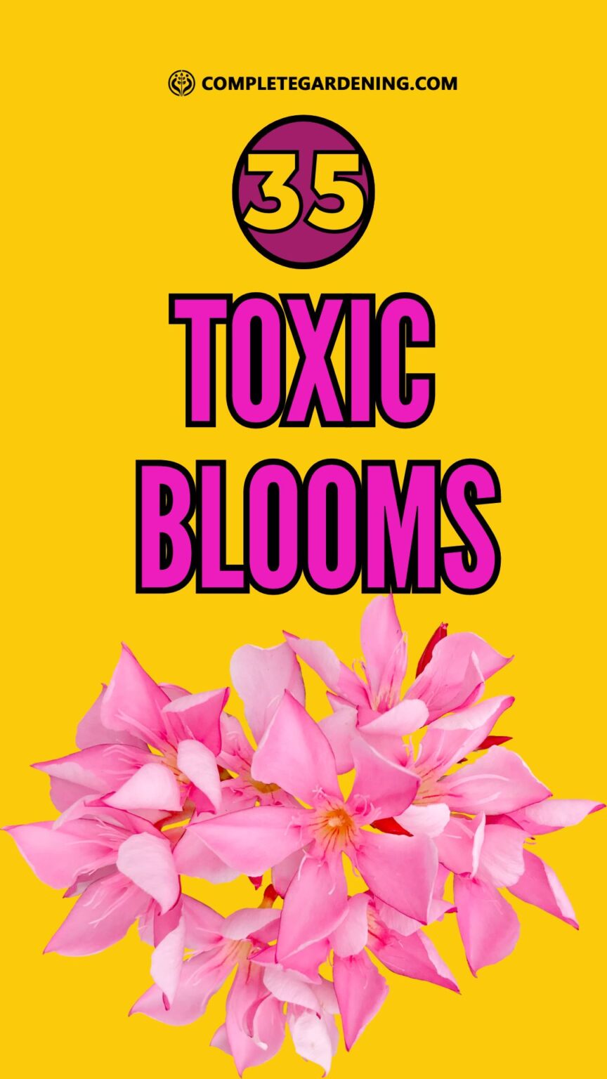 Toxic Blooms: 35 Flowers That Can Be Dangerous - Complete Gardening
