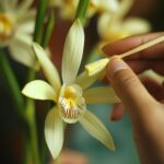 Vanilla Beans: Growing and Caring for Your Own Vanilla Orchids ...