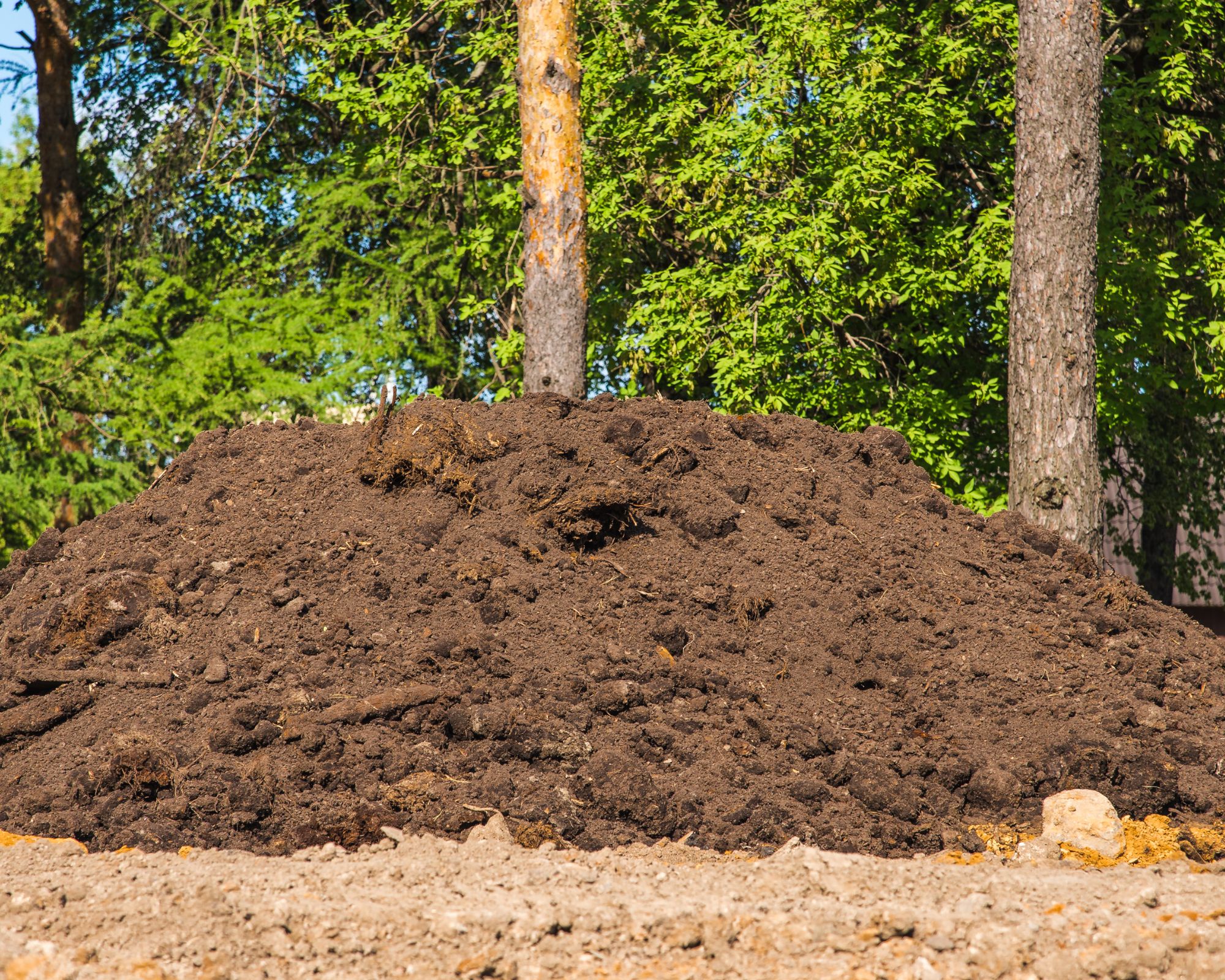 13 Ways to Prevent Soil Leaching - Complete Gardening
