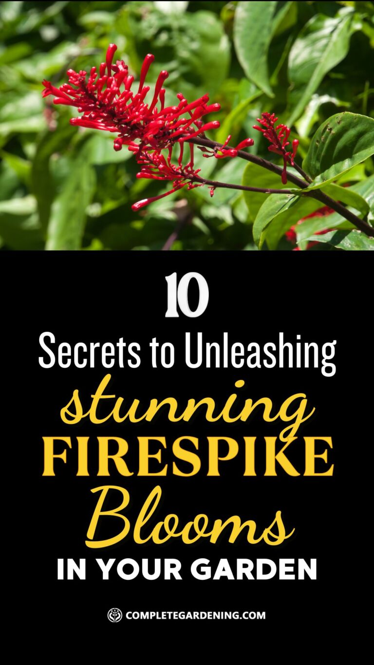 10 Secrets to Unleashing Stunning Firespike Blooms in Your Garden ...