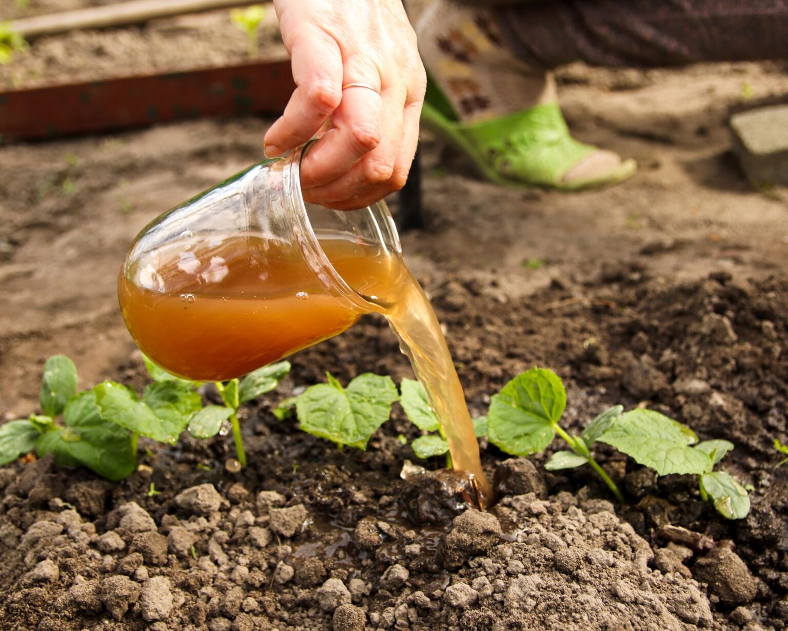13 Ways to Prevent Soil Leaching - Complete Gardening