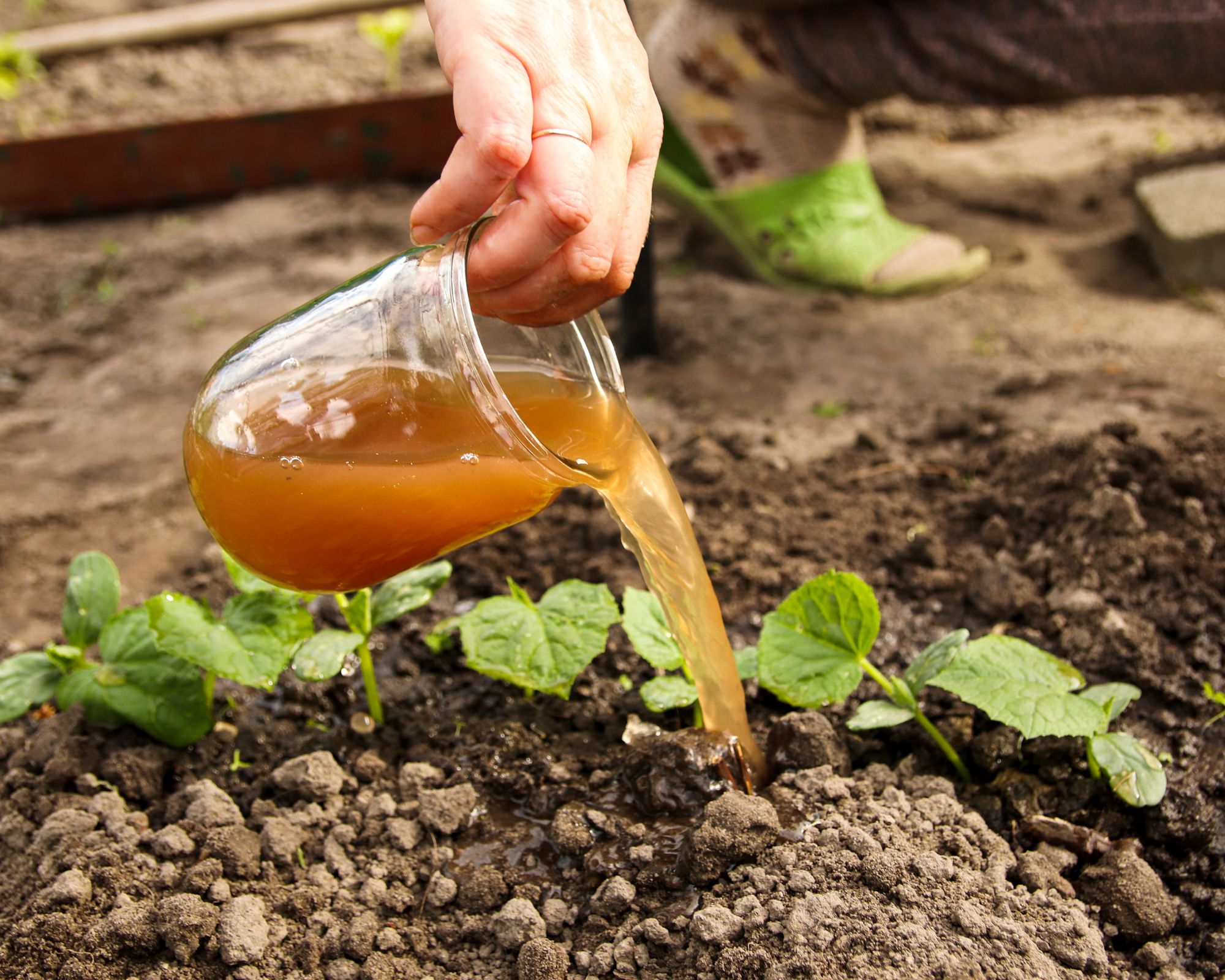 13 Ways to Prevent Soil Leaching - Complete Gardening